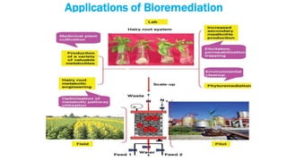 Role of microbes in bioremediation | PPTX