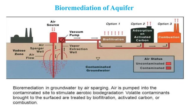 Role of microbes in bioremediation | PPTX | Indoor Environmental Quality | Home & Garden