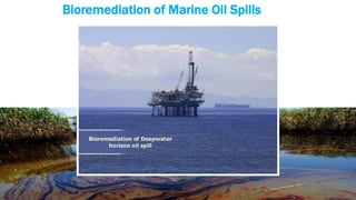 Role of microbes in bioremediation | PPTX