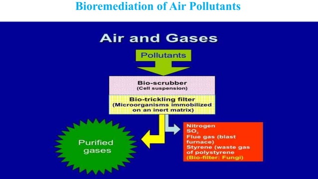 Role of microbes in bioremediation | PPTX | Indoor Environmental Quality | Home & Garden
