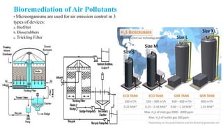 Role of microbes in bioremediation | PPTX