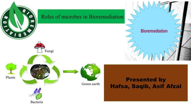Role of microbes in bioremediation | PPTX | Indoor Environmental Quality | Home & Garden