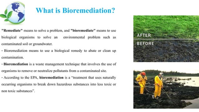 Role of microbes in bioremediation | PPTX | Indoor Environmental Quality | Home & Garden