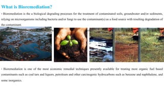 Role of microbes in bioremediation | PPTX