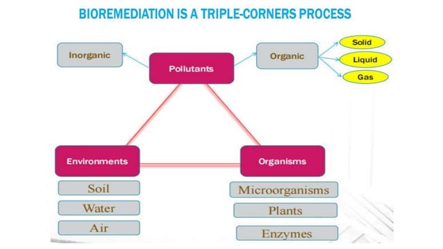 Role of microbes in bioremediation | PPTX | Indoor Environmental Quality | Home & Garden