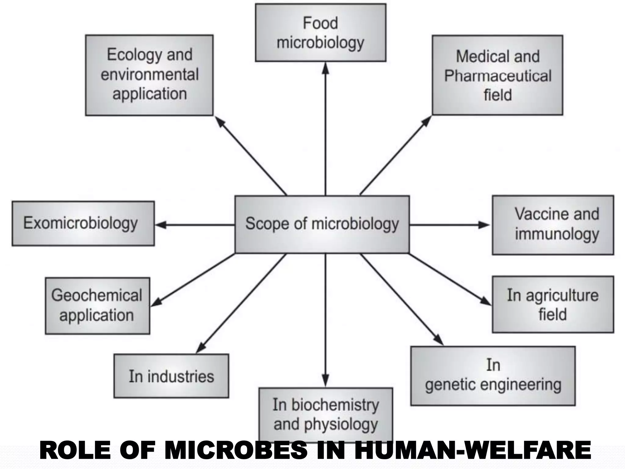 Role of Microbes in Human Welfare.pptx