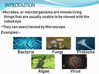 Role of Microbes in Human Welfare.pptx