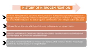 Role of microbes in nitrogen fixation | PPTX