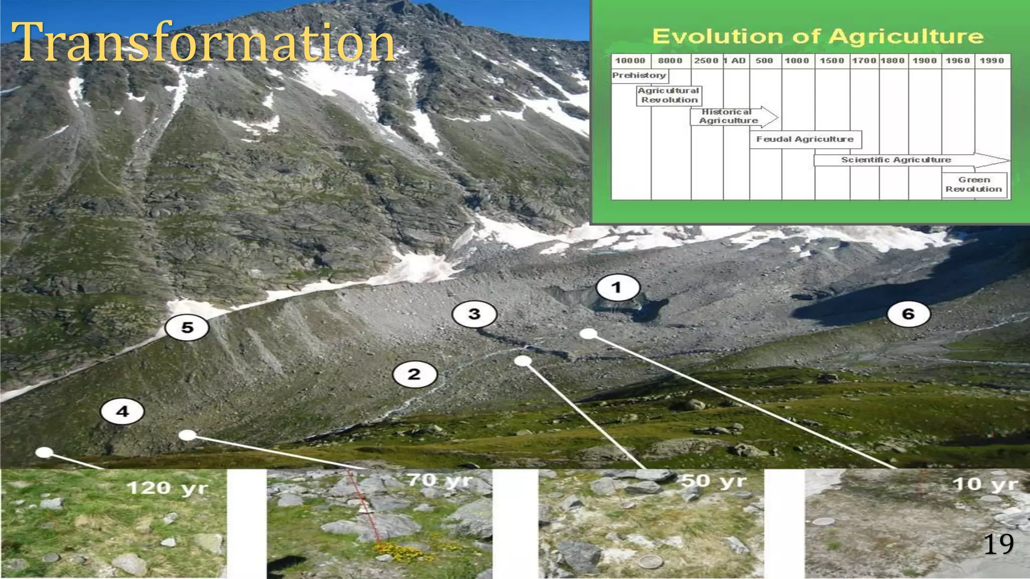 Role of microbes in nutrient mobilization, transformation in fertilizer ...