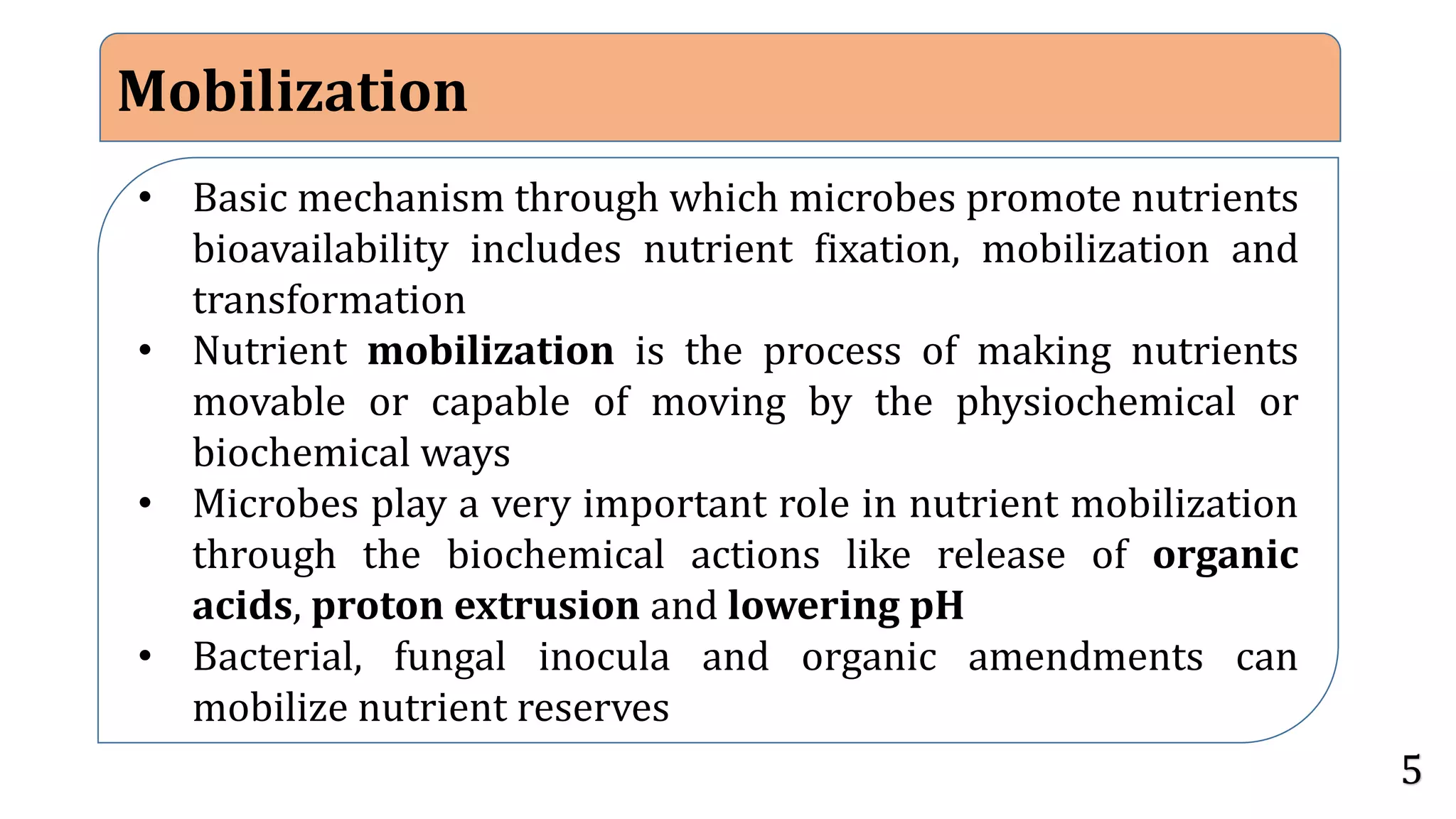 Role of microbes in nutrient mobilization, transformation in fertilizer ...