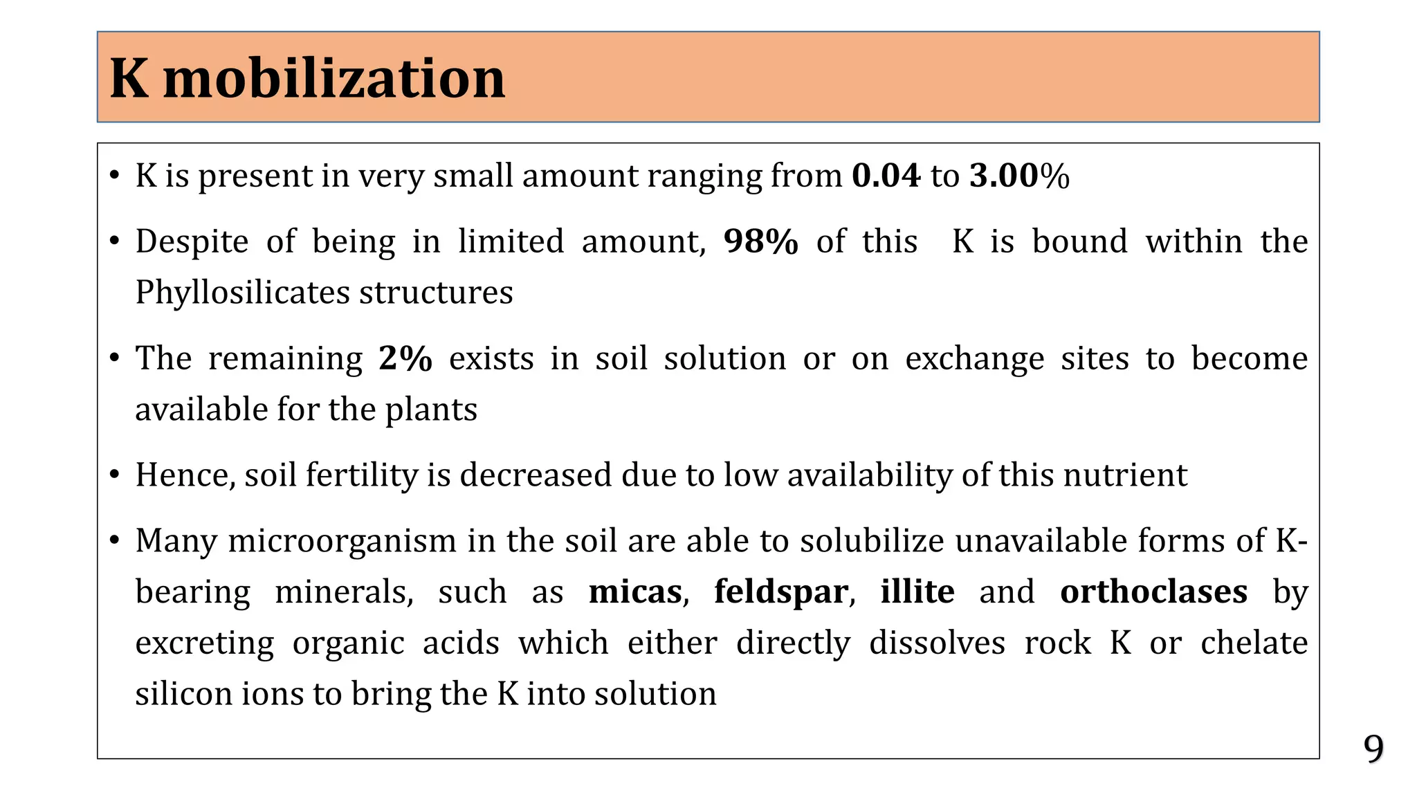 Role of microbes in nutrient mobilization, transformation in fertilizer ...