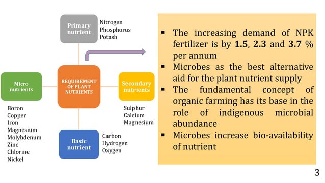 Role of microbes in nutrient mobilization, transformation in fertilizer ...
