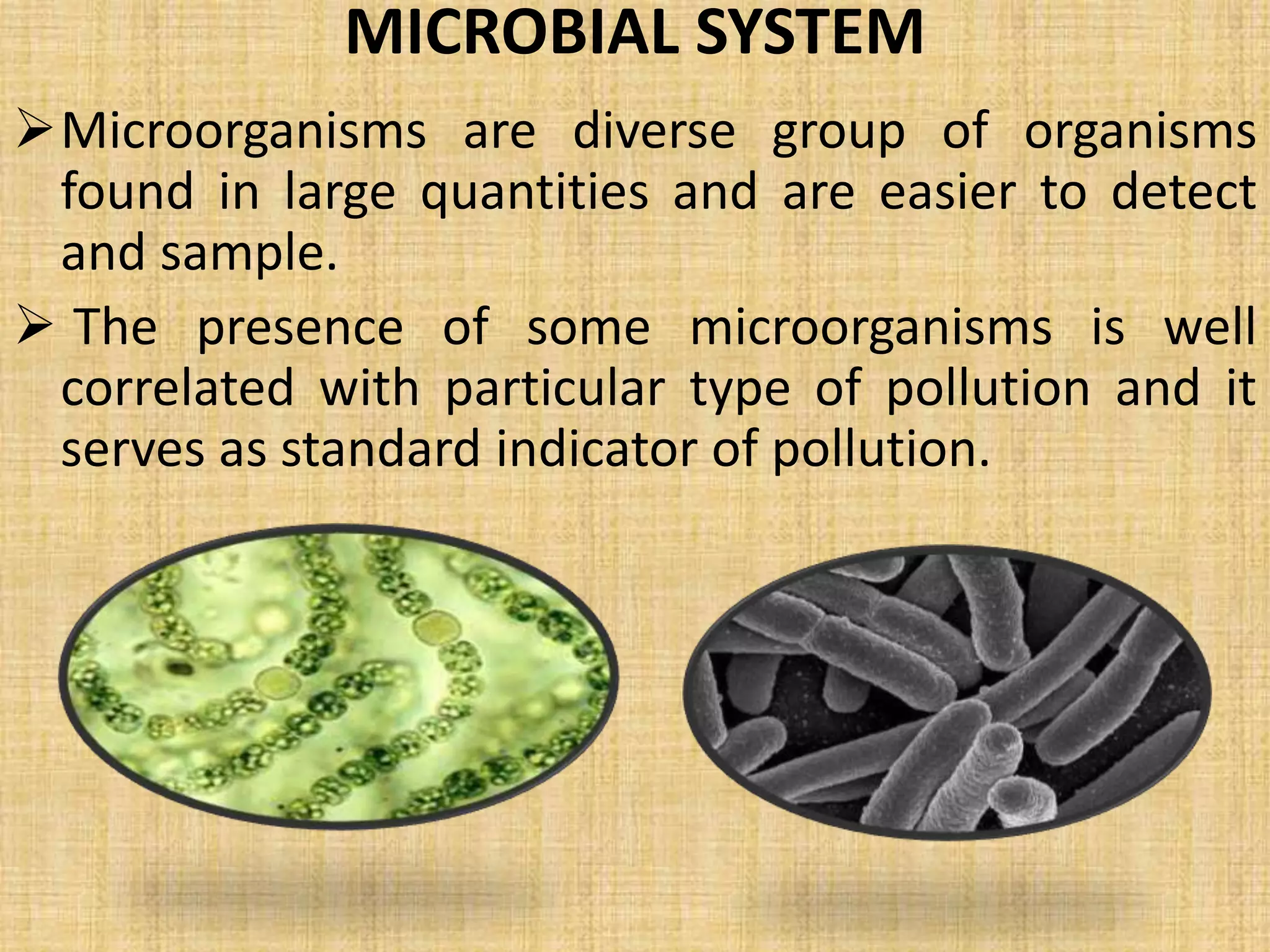 Role of microbes in pollution indication | PPTX