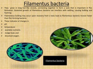 Role of microbes in pollution indication | PPTX