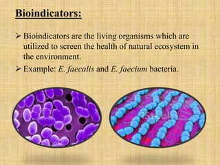 Role of microbes in pollution indication | PPTX