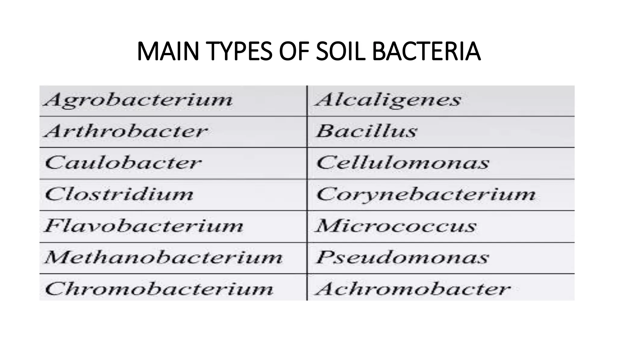 Role of microbes in soil | PPTX