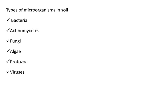 Role of microbes in soil | PPTX | Gardening | Home & Garden