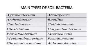 Role of microbes in soil | PPTX