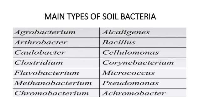 Role of microbes in soil | PPTX | Gardening | Home & Garden