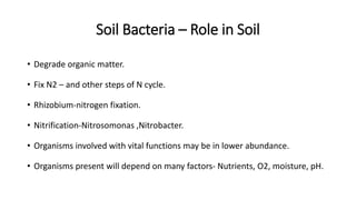 Role of microbes in soil | PPTX