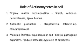 Role of microbes in soil | PPTX