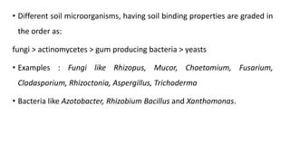 Role of microbes in soil | PPTX