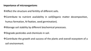 Role of microbes in soil | PPTX