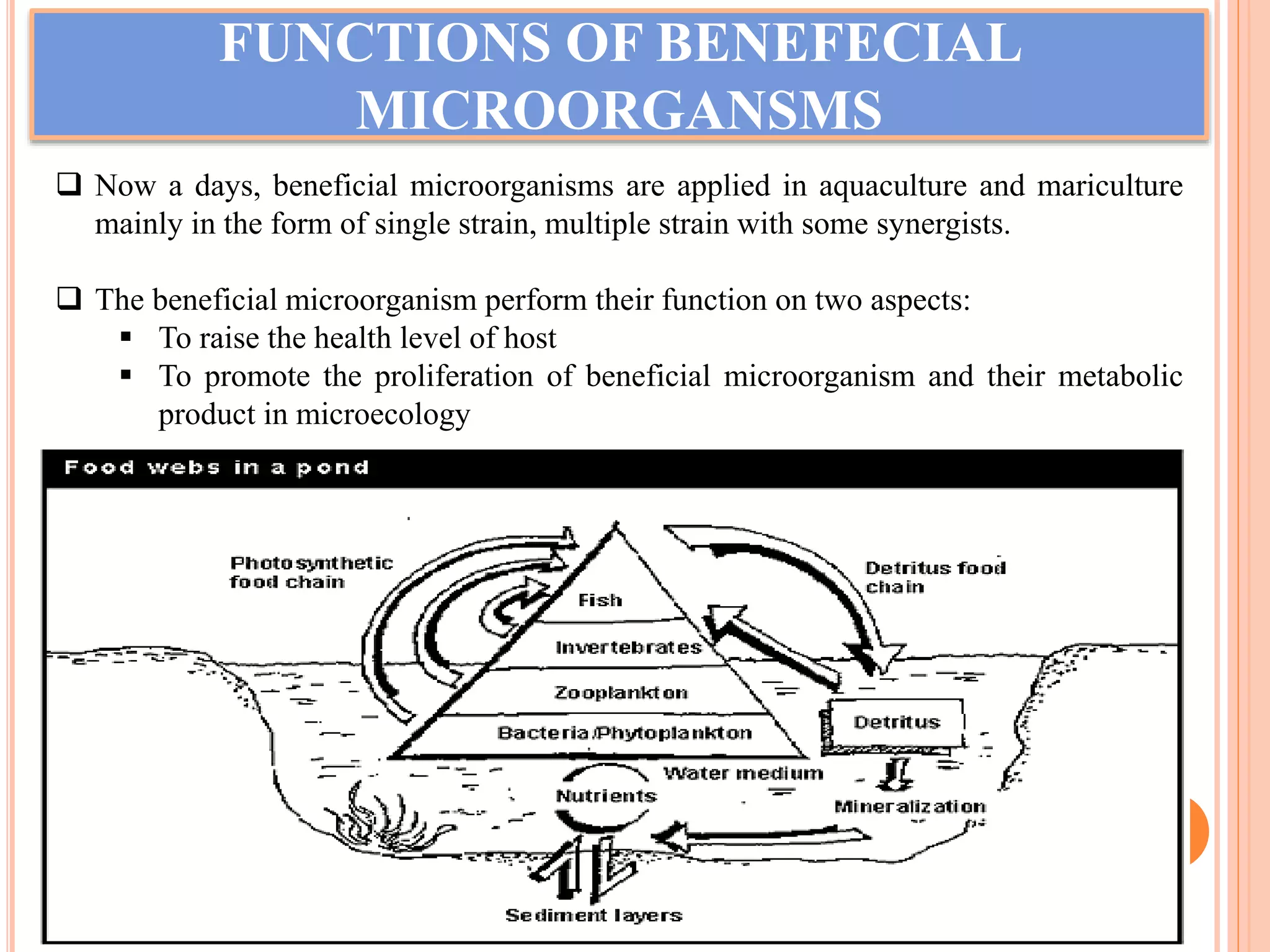 Role of microbes in soil and water quality management in aquaculture | PPTX