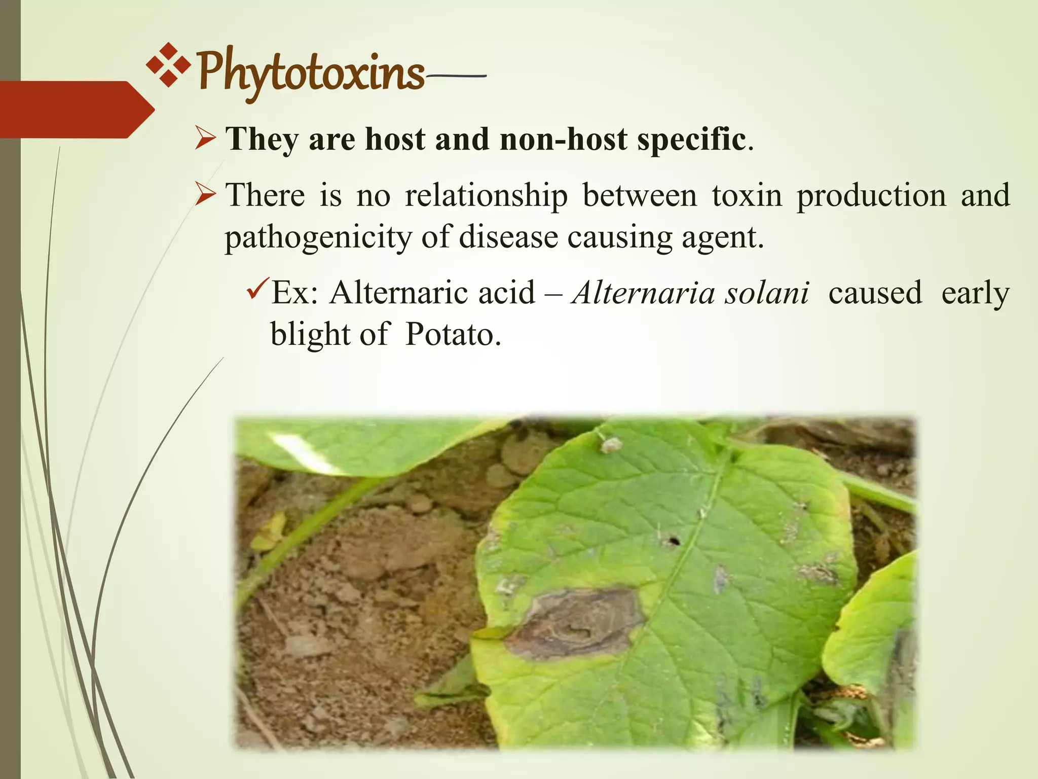 Role of microbial toxins in plant pathogenesis | PPTX