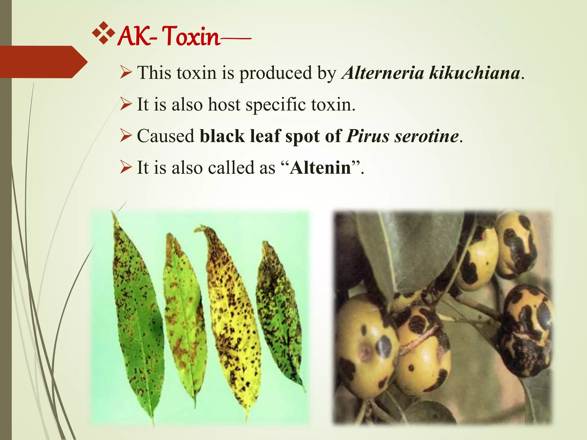 Role of microbial toxins in plant pathogenesis | PPTX