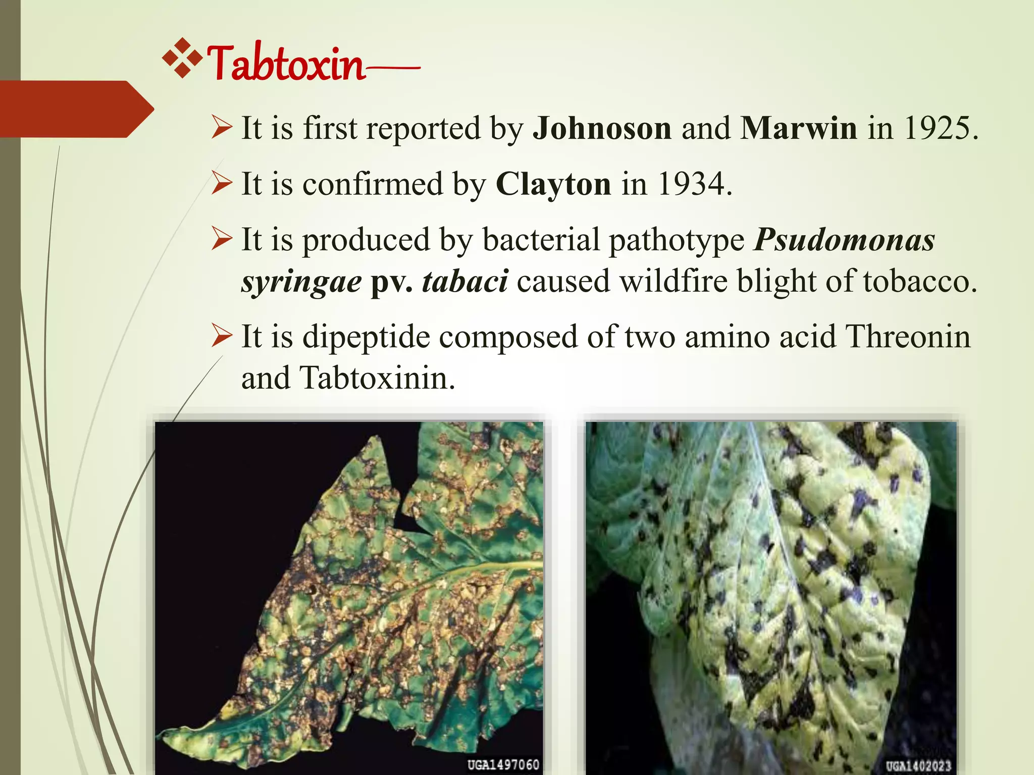 Role of microbial toxins in plant pathogenesis | PPTX