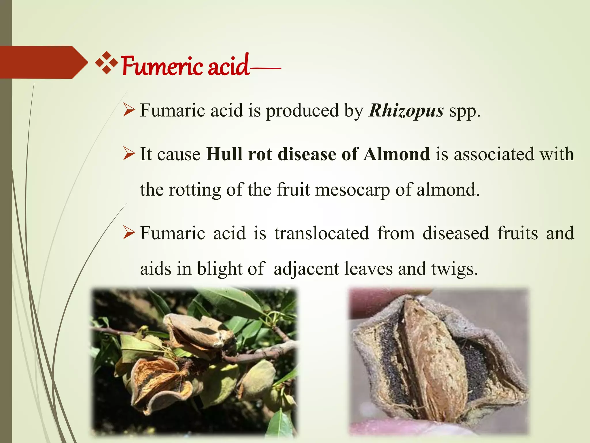 Role of microbial toxins in plant pathogenesis | PPTX