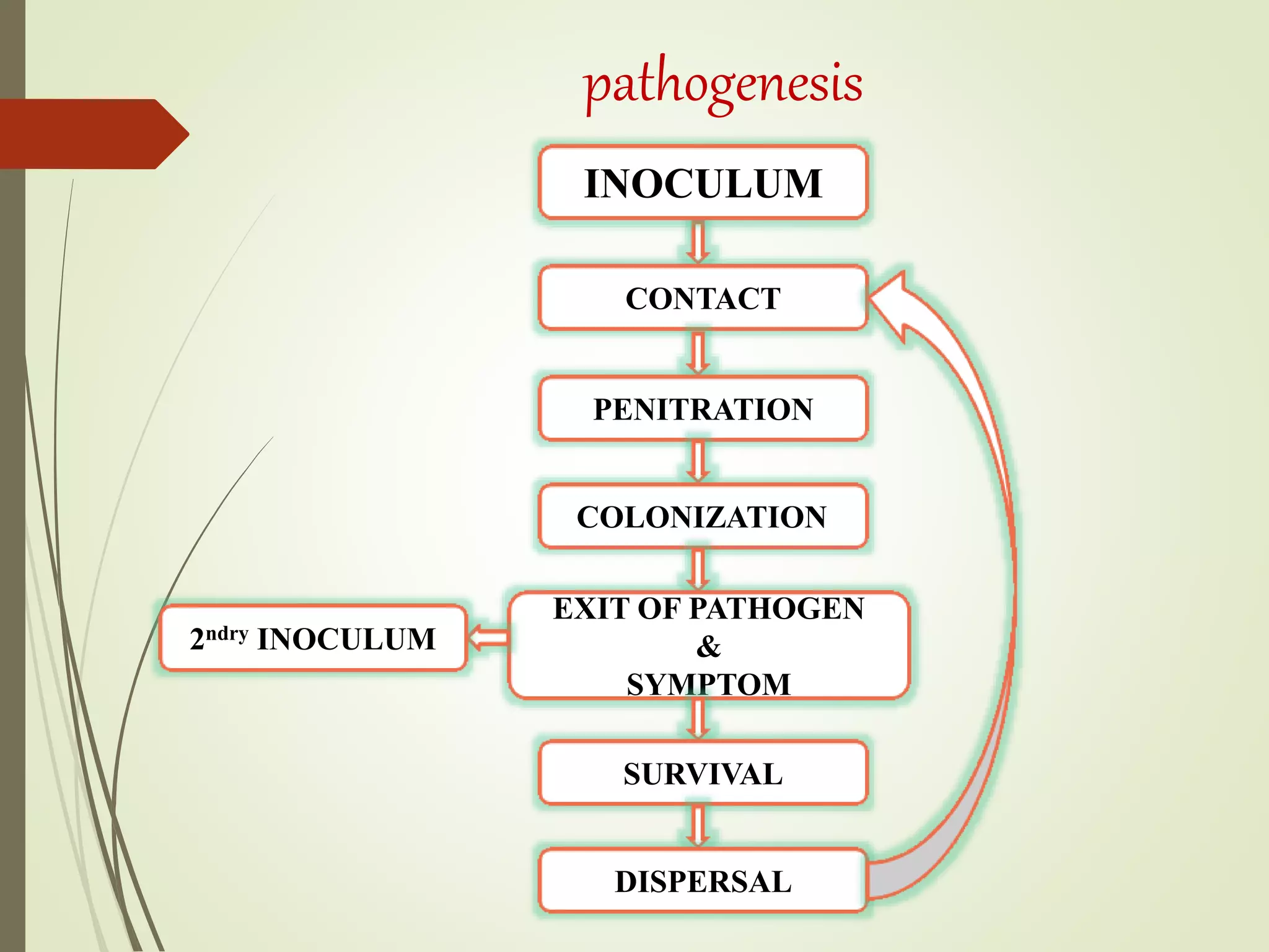 Role of microbial toxins in plant pathogenesis | PPTX