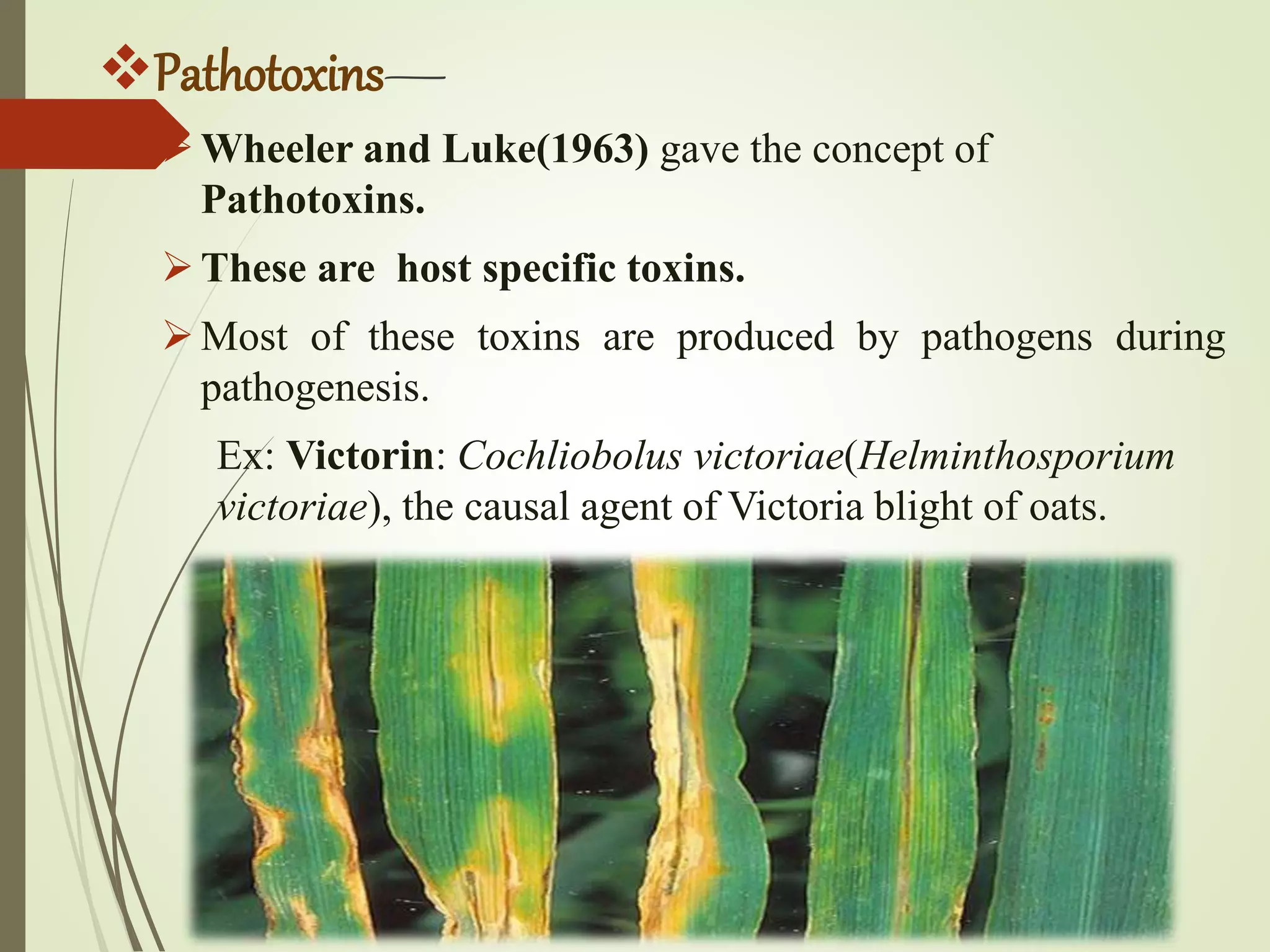 Role of microbial toxins in plant pathogenesis | PPTX