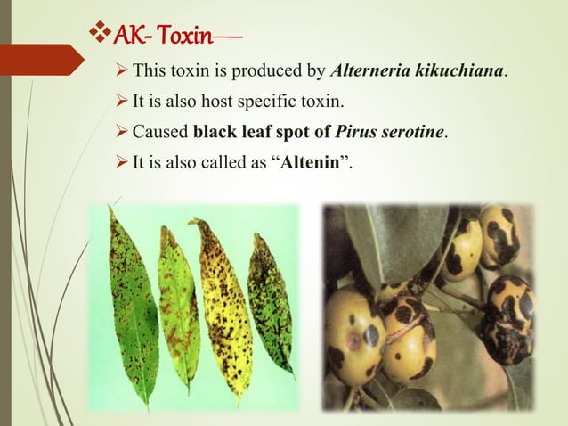Role of microbial toxins in plant pathogenesis | PPT