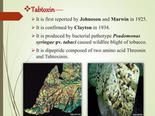 Role of microbial toxins in plant pathogenesis | PPTX