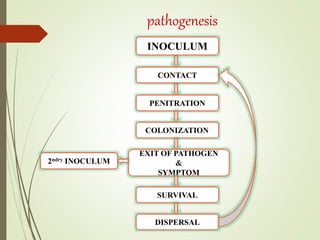 Role of microbial toxins in plant pathogenesis | PPTX
