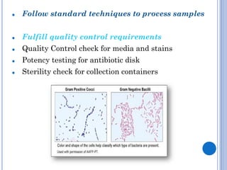 Role of Microbiology Labs in Infection Control | PDF
