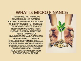 Role of micro finance in rural development | PPTX