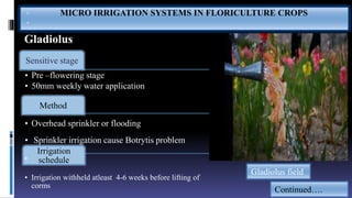 Role of Micro irrigation in Floriculture.pptx