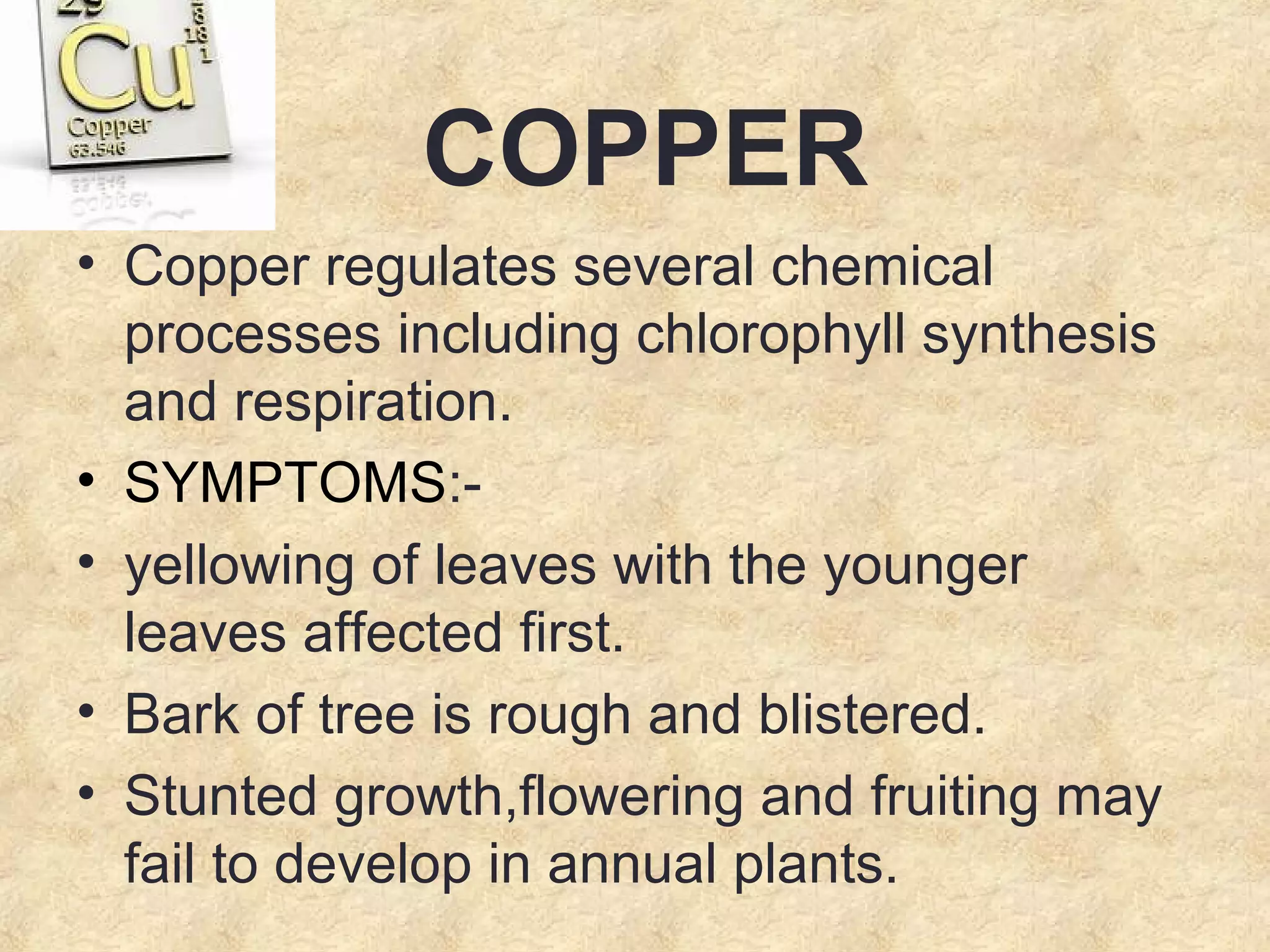 Role of micronutrient in crops | PPT