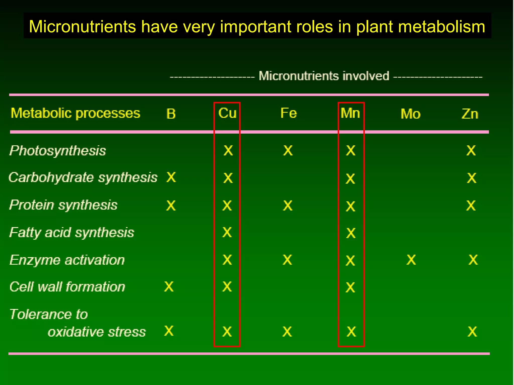 Role of micronutrient in crops | PPT