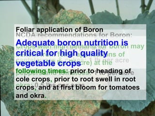 Role of micronutrient in crops | PPT