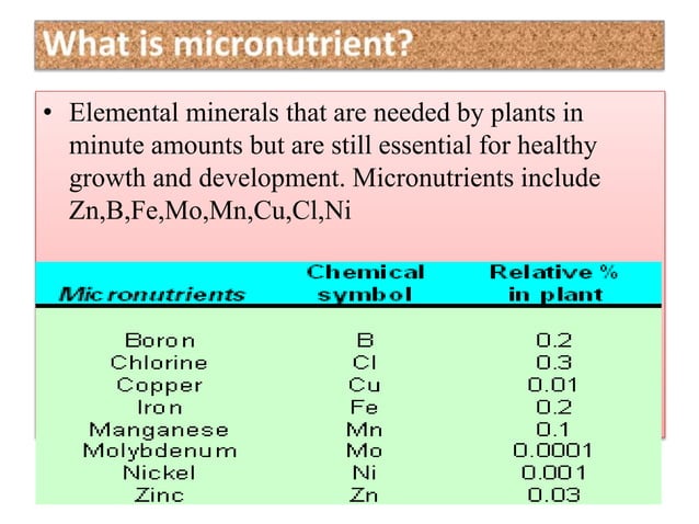 Role of micronutrients in seed crops | PPT
