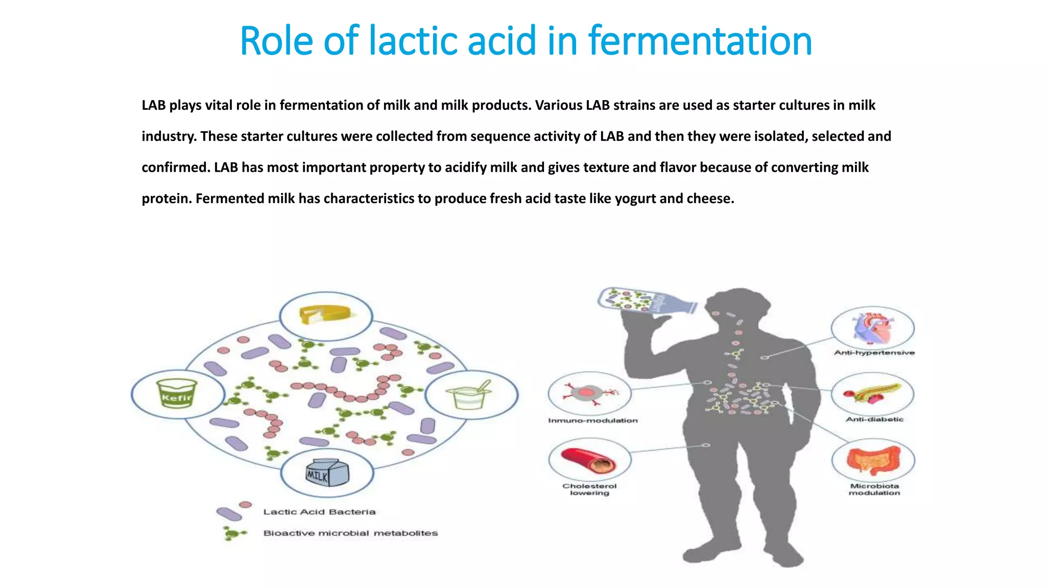 Role of microoganisms in fermentation | PPTX | Chemistry | Science