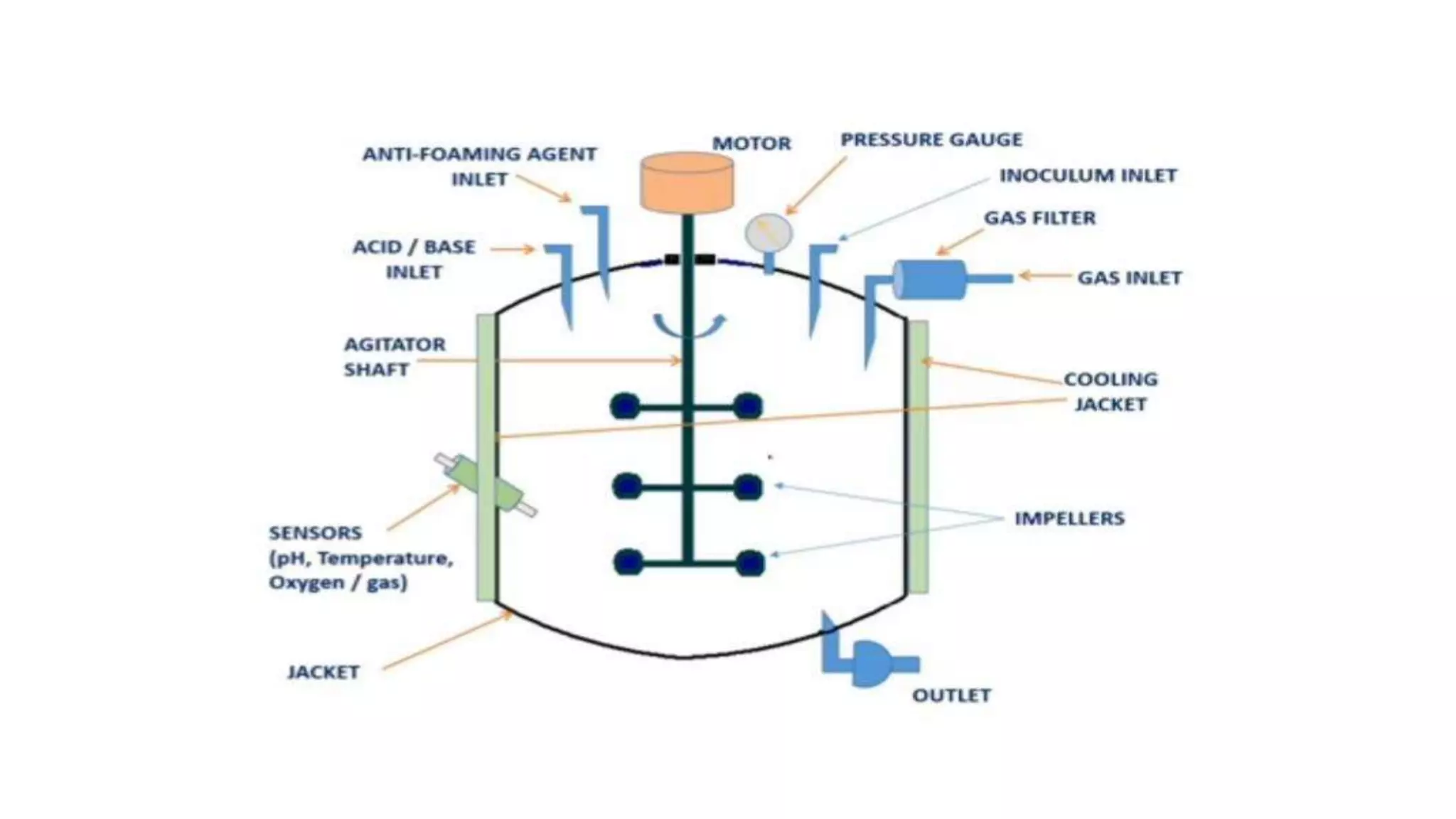 Role of microoganisms in fermentation | PPTX | Chemistry | Science