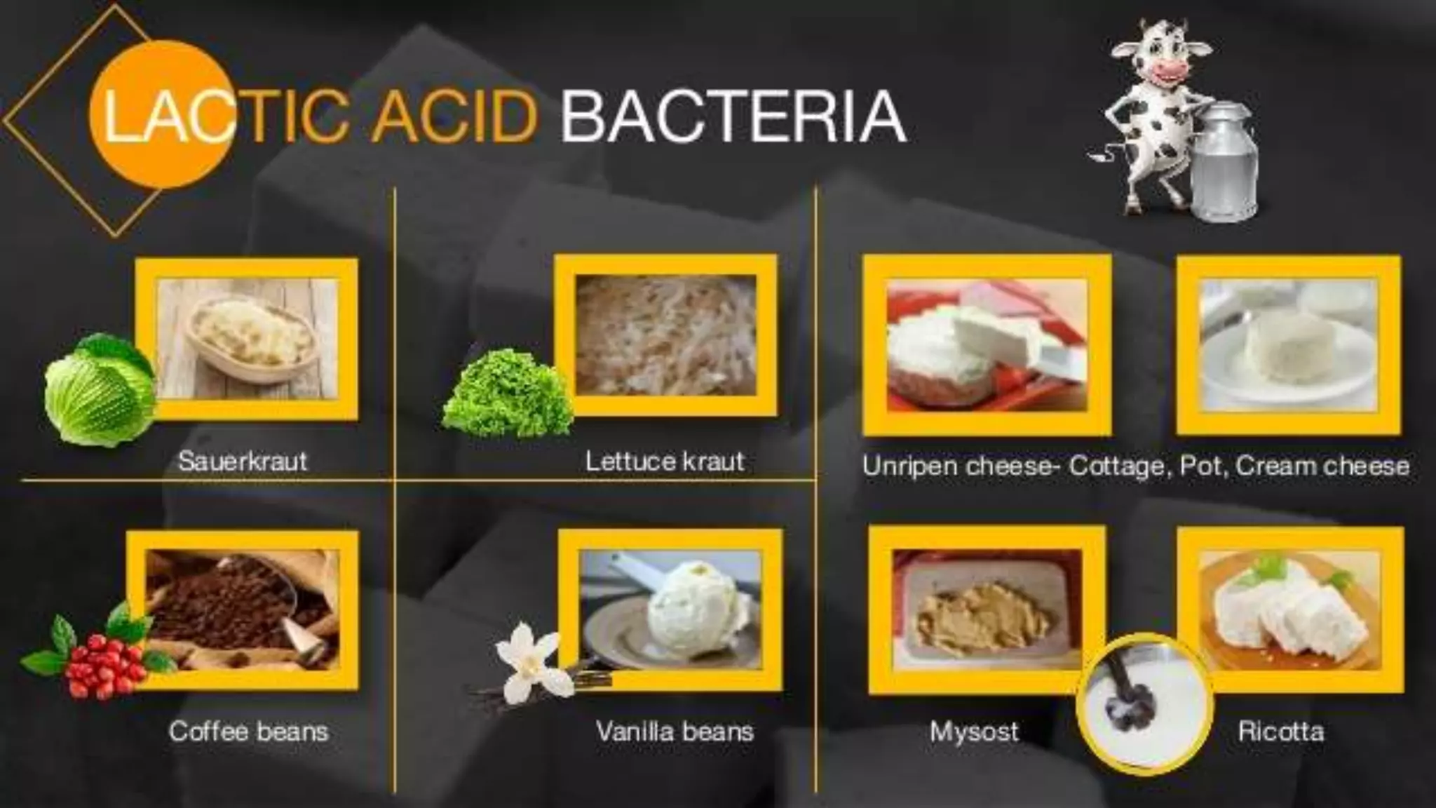 Role of microoganisms in fermentation | PPTX | Chemistry | Science