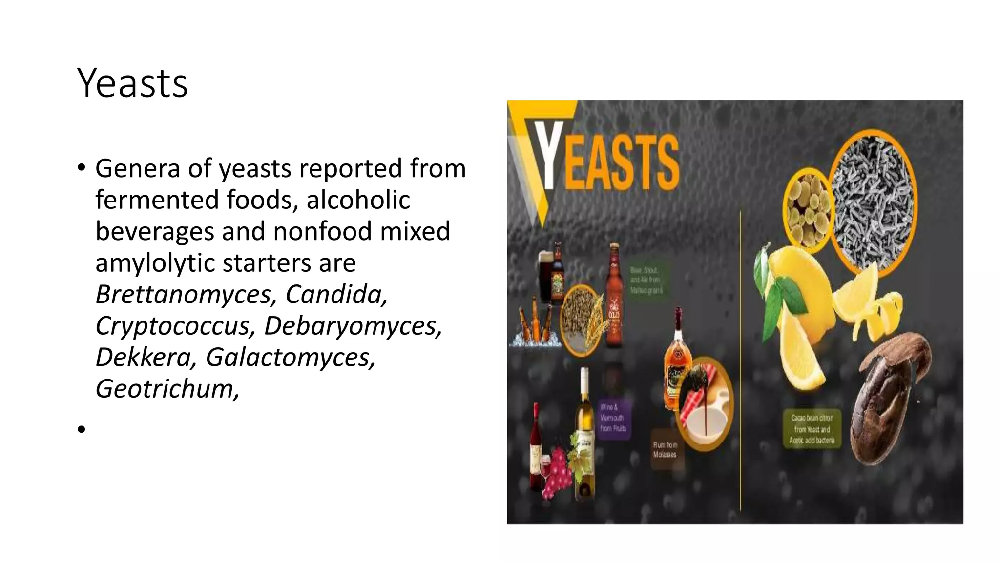 Role of microoganisms in fermentation | PPTX | Chemistry | Science