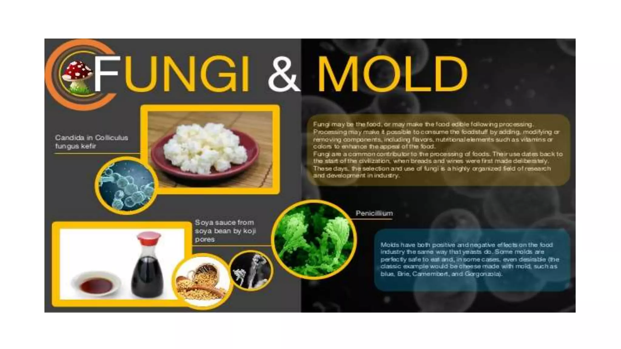 Role of microoganisms in fermentation | PPTX | Chemistry | Science