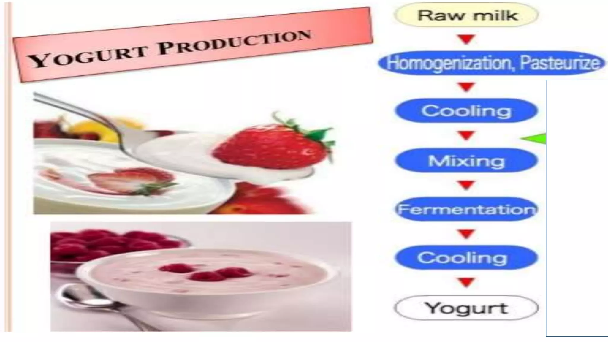 Role of microoganisms in fermentation | PPTX | Chemistry | Science